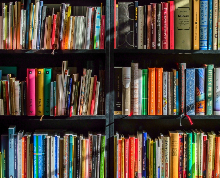 AMYNA e.V. - Schutz von Mädchen* und Jungen* vor sexueller Gewalt